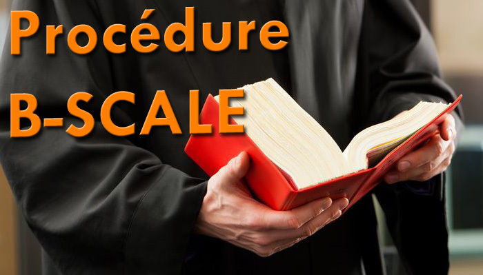 procédure individuelle prud'homale b-scale